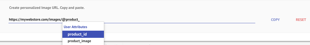 Personalize Email Content – User Guide